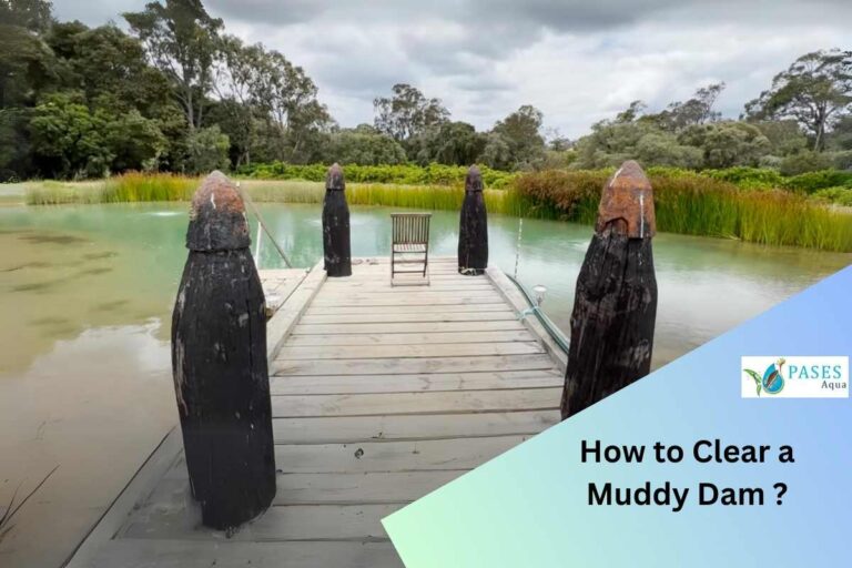 How To Clear A Muddy Dam: Effective Strategies For Clean Water | PASES ...