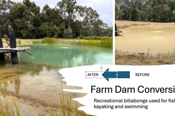 Natural Swimming Pools Design Perth & Sydney | Backyard Freshwater Pool ...