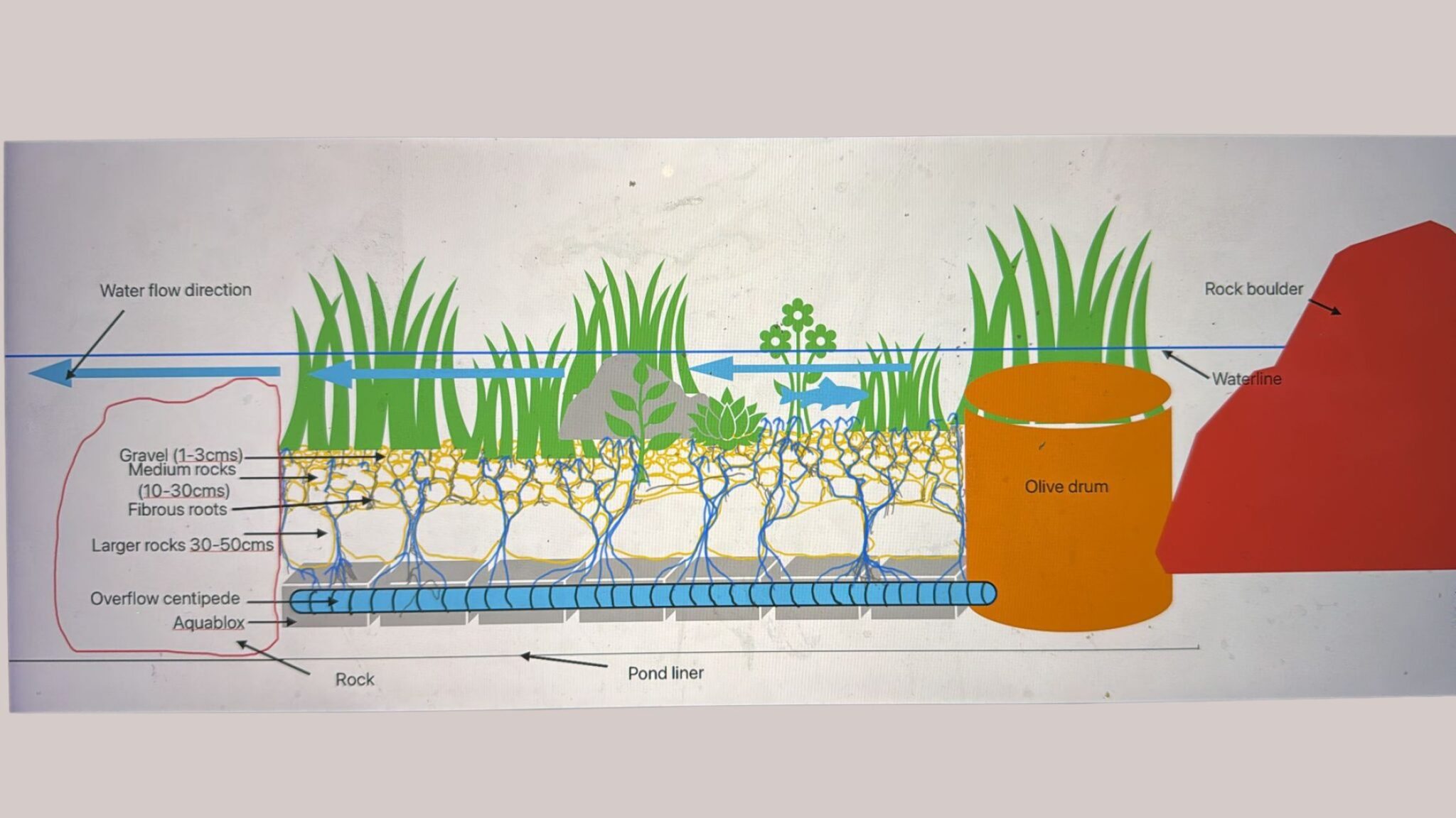 Pond Filtration Systems : Enhancing Water Quality With The Right Pump ...